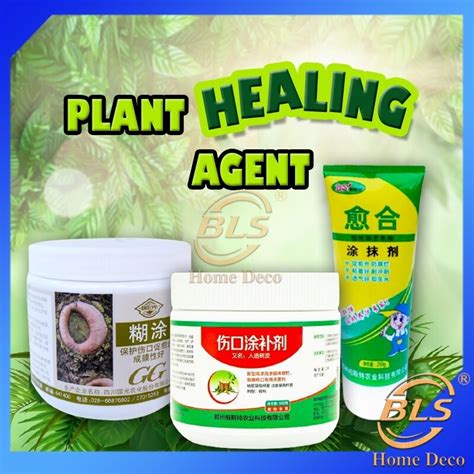 Plant Wound Healing Agent Big Tree Bonsai Sealant Plants Smear Agent 植物伤口愈合剂 Lazada