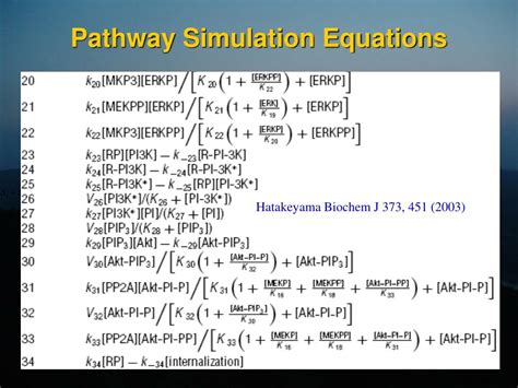 Ppt Content Example Of Pathway Simulation Work And Map Pathway