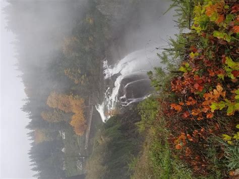 [영어가이드] 스노퀄미 폭포 시애틀 와이너리 일일투어 줌줌투어 미국 시애틀