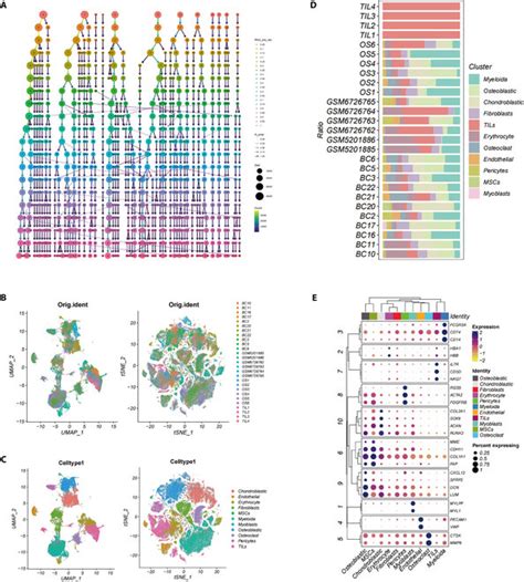 Comprehensive Single Cell Transcriptomic Analysis A Cell Population
