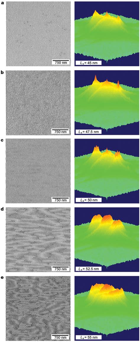 Top Down Sem Images And Corresponding Fourier Transform Analysis Of Download Scientific Diagram
