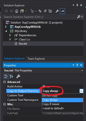 C Get Relative File Path In A Class Library Project That Is Being