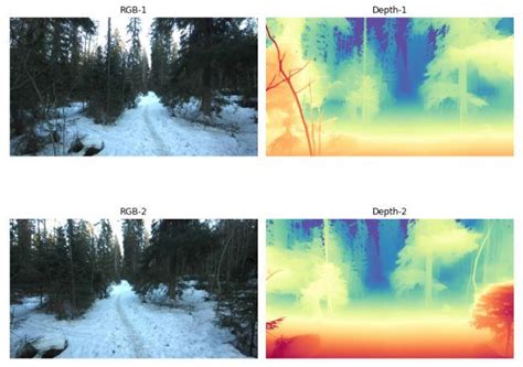 Using Depth Enhanced Segmentation In Forestry A Practical Approach To