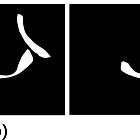 grasping pose estimation garment rgb image and extracted collar region