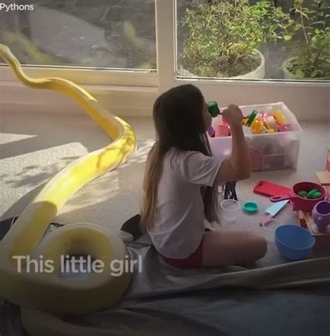 Shabbir Hussain Posted On Linkedin