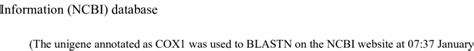 taxonomy blast reports from the national center for biotechnology