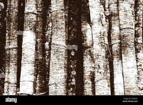 Editable Vector Illustration Of Tree Trunks And Grunge Stock Vector Image Art Alamy
