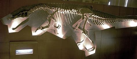 Baryonyx Heavy Claw Theropod From Early Cretaceous Period