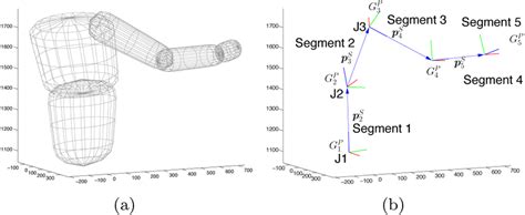 Articulated Structure And The Relative Positions Of Body Segments As A Download Scientific