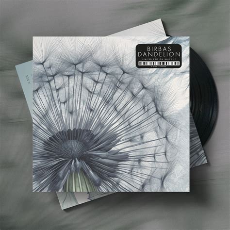 Dandelion Birbas