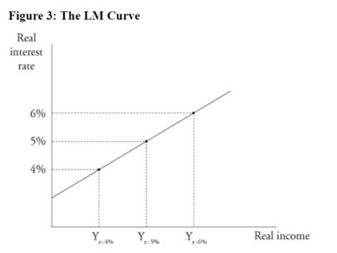 lecture 4 the is lm model flashcards quizlet