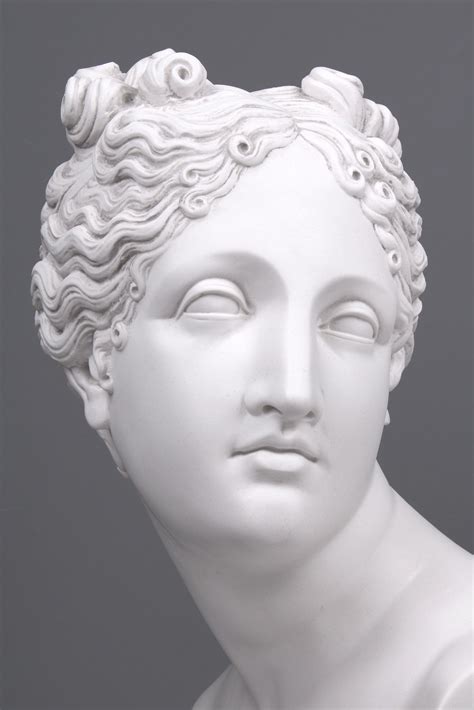 Venus Bust Sculpture Goddess Of Love Large Greek Goddess Statue