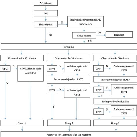 Study Grouping Flow Chart Download Scientific Diagram