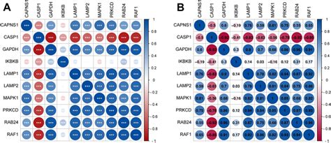 correlation analysis among 10 core deags each cell contains ap value