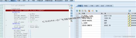 abap 外币金额转人民币金额函数 convert to local currency abap dec转化curr csdn博客