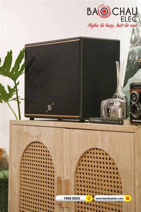 Loa Alpha Works Classic V100 100w Nghe Nhạc Karaoke