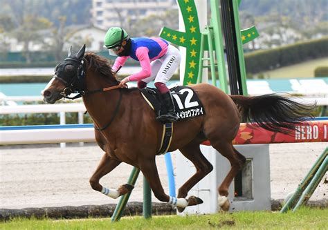 【小倉競馬・西日本新聞杯】11番人気のメイショウフンケイが勝利／3連単170万円の大波乱｜競馬ニュース｜競馬top｜西スポレースサイト