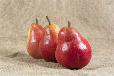 Red Stark Pear