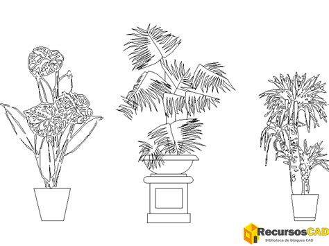 Bloques Autocad Plantas Ornamentales Para La Terraza En Dwg 2d Gratis