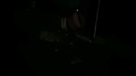 반딧불이 Youtube