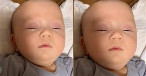 비혼모 사유리 子 젠 엄마와 어디가 닮았나 잠들락 말락 초근접 사진 보니