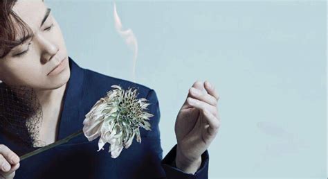 张敬轩专辑 高清图片，堆糖，美图壁纸兴趣社区