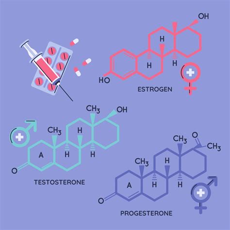 Prolactin Structure Main Signaling Pathways Elicited By The Activation