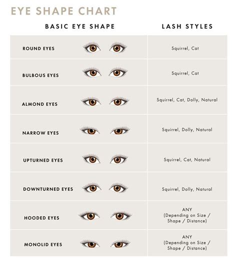 Lash Styles 101 The Perfect Lash Styles For Every Eye Shape Eye Shape Chart Lashes Tutorial