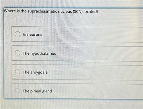 Solved Where Is The Suprachiasmatic Nucleus Scn
