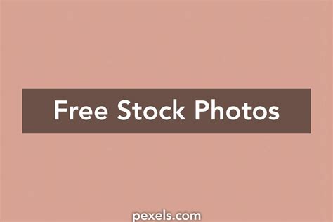 Direction Indicator Photos Download The Best Free Direction Indicator