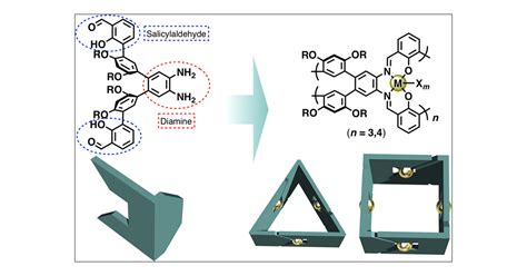 Double Circularly Connected Saloph Belt Macrocycles Generated From A