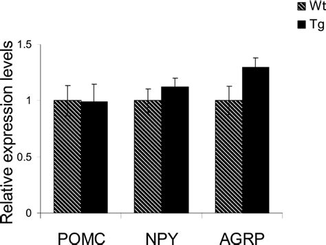 Hypothalamic Neuropeptide Mrnas In Mch Ataxin 3 Mice Expression Levels Download Scientific