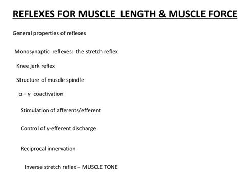 2016 03 23 monosynaptic reflex