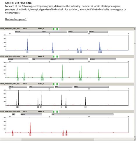 Part Ii Str Profiling For Each Of The Following