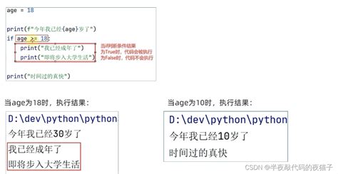 Python基础第三篇（python逻辑判断与循环）phython逻辑判断与循环嵌套函数 Csdn博客