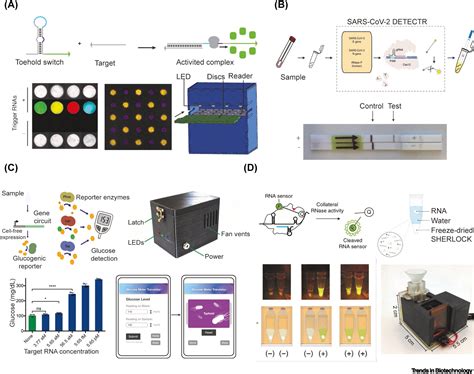 Modularized Synthetic Biology Enabled Intelligent Biosensors Trends In