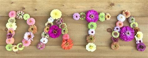 Data Analytics A Crash Course Rooted Farmers Blog