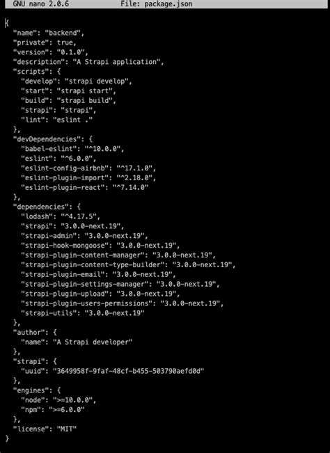 Strapi V Showing 300 Next19 · Issue 3828 · Strapistrapi · Github