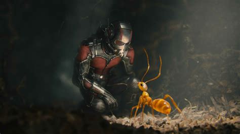 Ant Man Hd Wallpaper A Journey Into The Tiny World 2160x1216