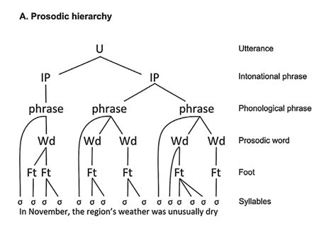 Figure Figure From Mol Et Al The Prosodic Hierarchy Of A