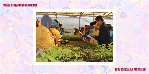 Jurusan Kuliah Pertanian: Membangun Masa Depan yang Berkelanjutan di Bidang Pangan dan ...