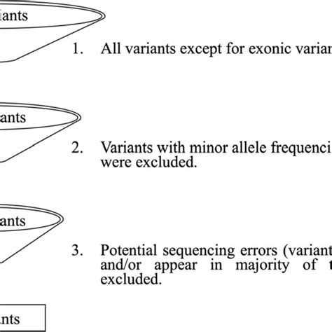 Variant Filtering And Prioritization Process Note That After This