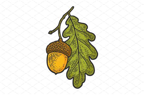 Acorn With Oak Leaf Sketch Vector Masterbundles