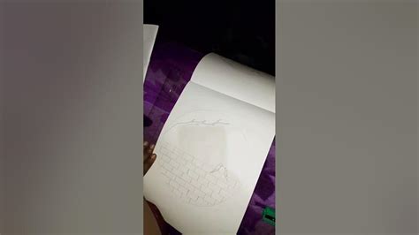 Drowing Tree Wall Love Birds ️💓 Youtube