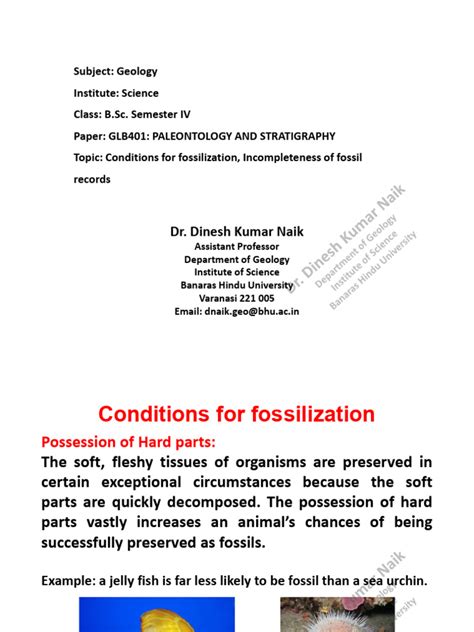 Dkn 4 Conditions For Fossilization Incompleteness Of Fossil Records