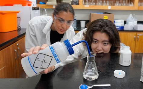 Bridging Theory And Practice Scientific Research At Silicon Valley International School