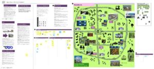 ICAgile Agile Fundamentals ICP