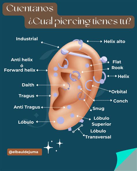 Partes De Los Piercings En Las Orejas