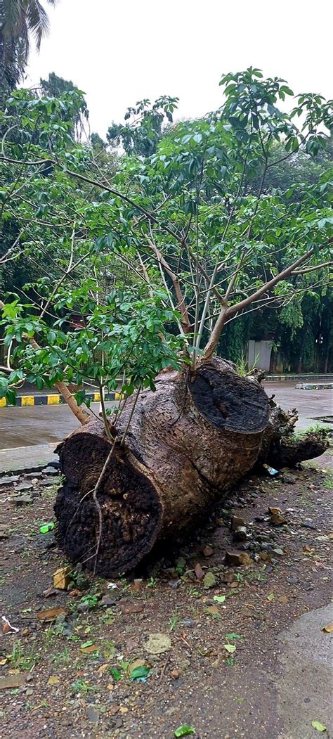 Prasanna Venkatesh P On Linkedin Inspiring Resilience