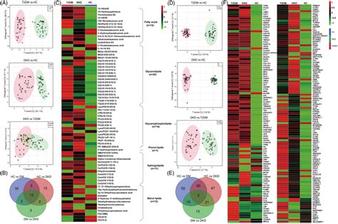 Lipidomics And Proteomics Results Of Discovery Set A Score Plots Of Download Scientific